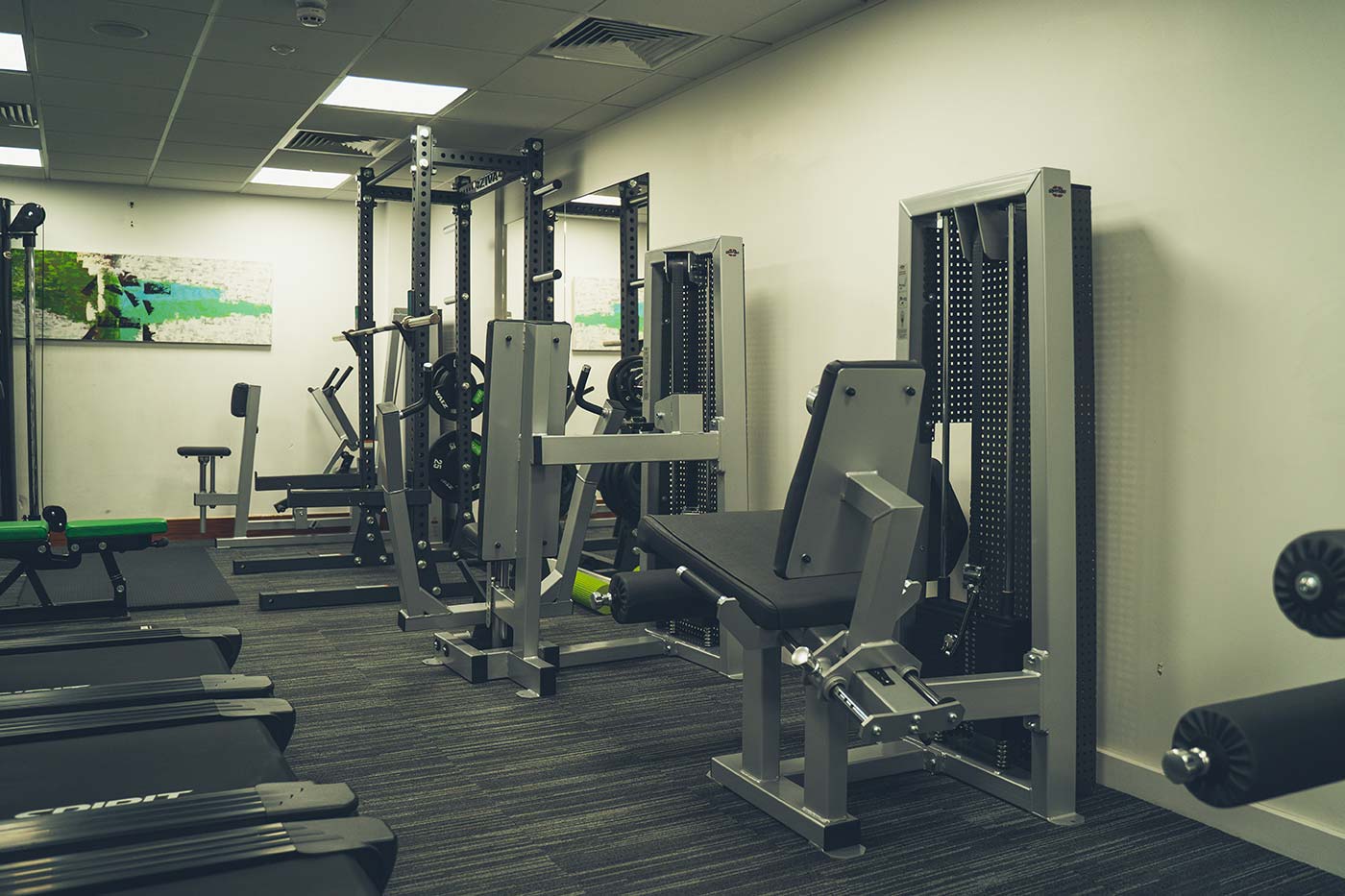 Gallery - Buzz Gym